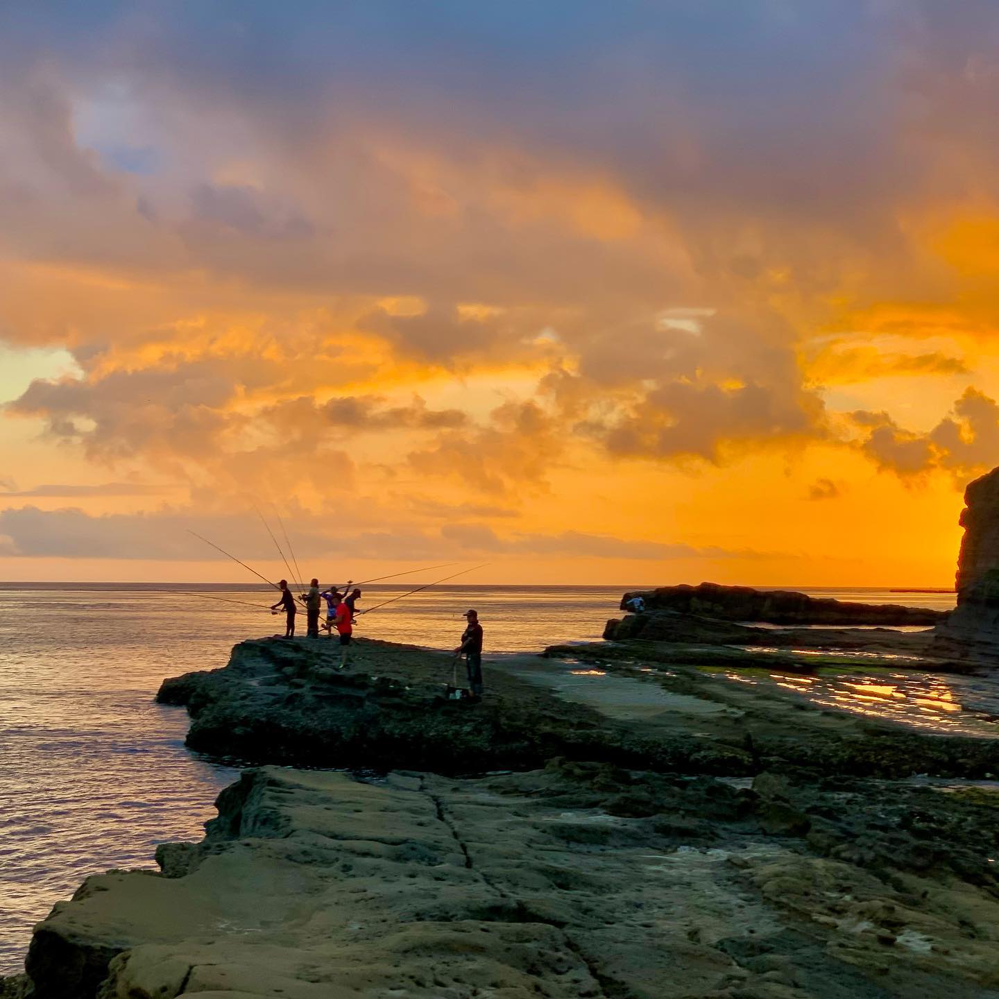 С добрым утром! Ребятушки! Риф! Good morning fellas! Reef here! # ...